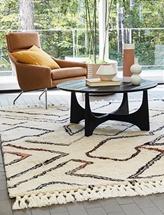 Lumini Rug | West Elm