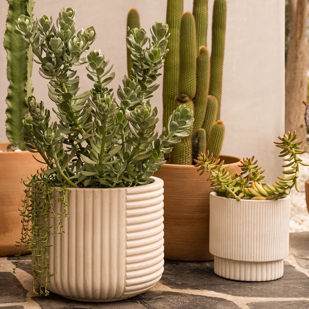 Fluted Ceramic Indoor/Outdoor Planters | West Elm