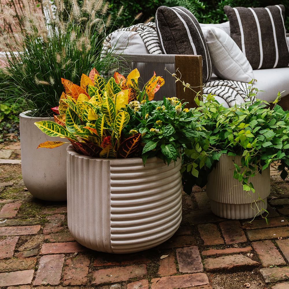 Cecilia Ficonstone Indoor/Outdoor Planters | West Elm