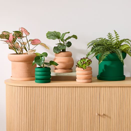 Organic Ceramic Tabletop Planters | West Elm