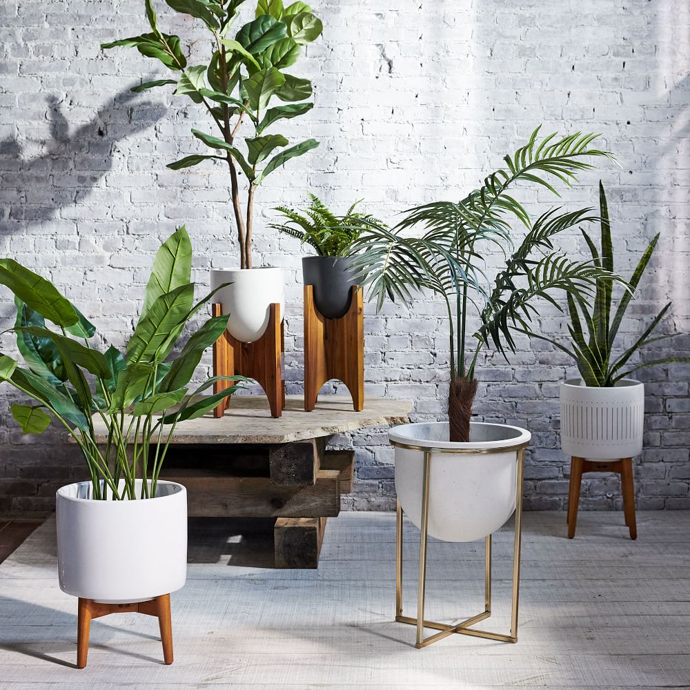 Eden Cross Base Standing Planter - Brass | West Elm