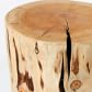 Tree Stump Side Table (12"–15") | West Elm