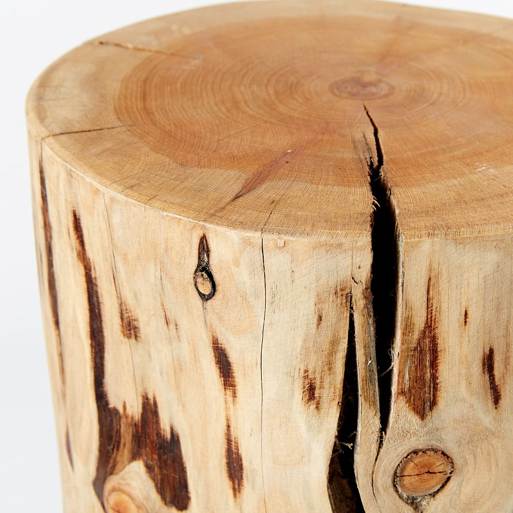 Tree Stump Side Table (12"–15") | West Elm