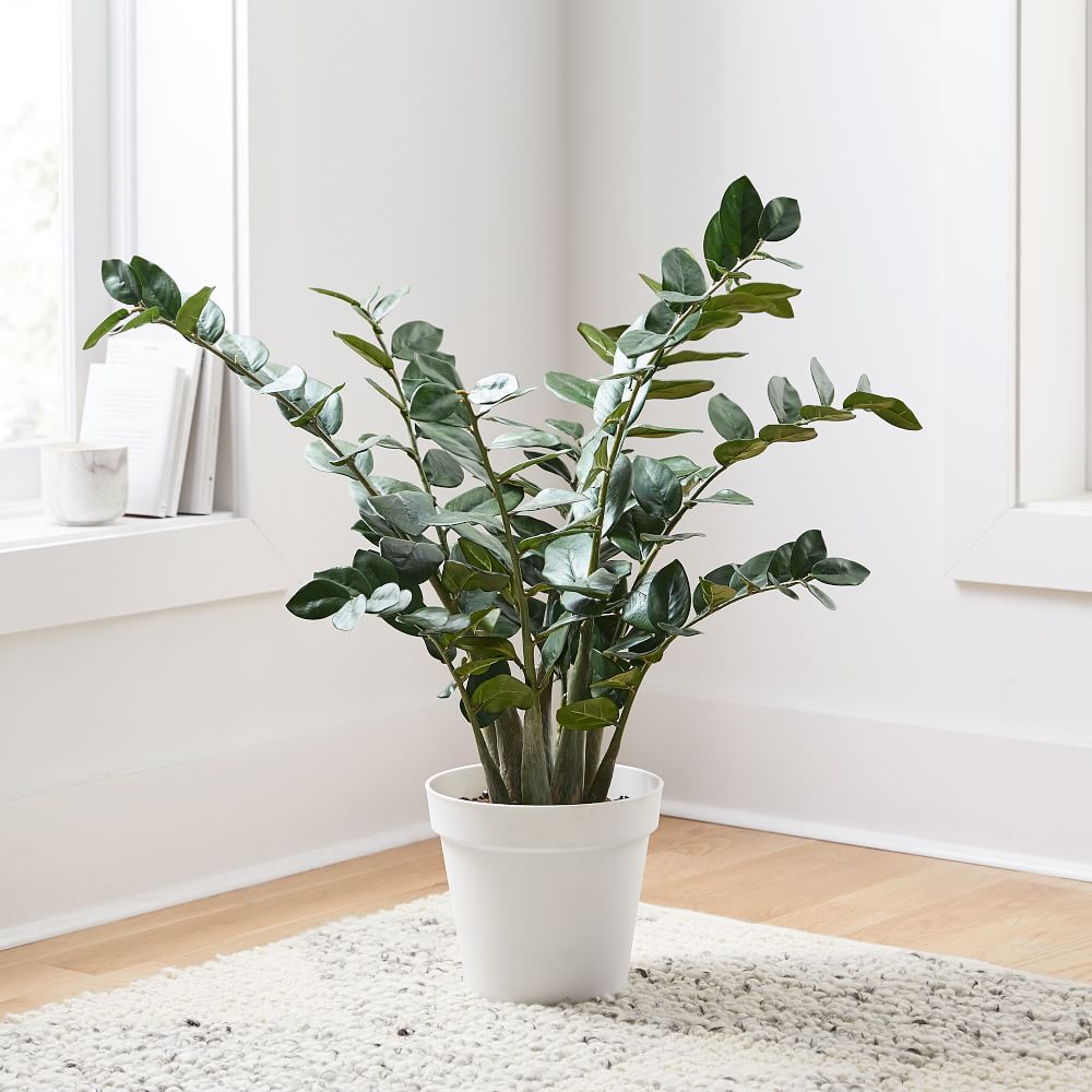 Faux Potted ZZ Plant | West Elm