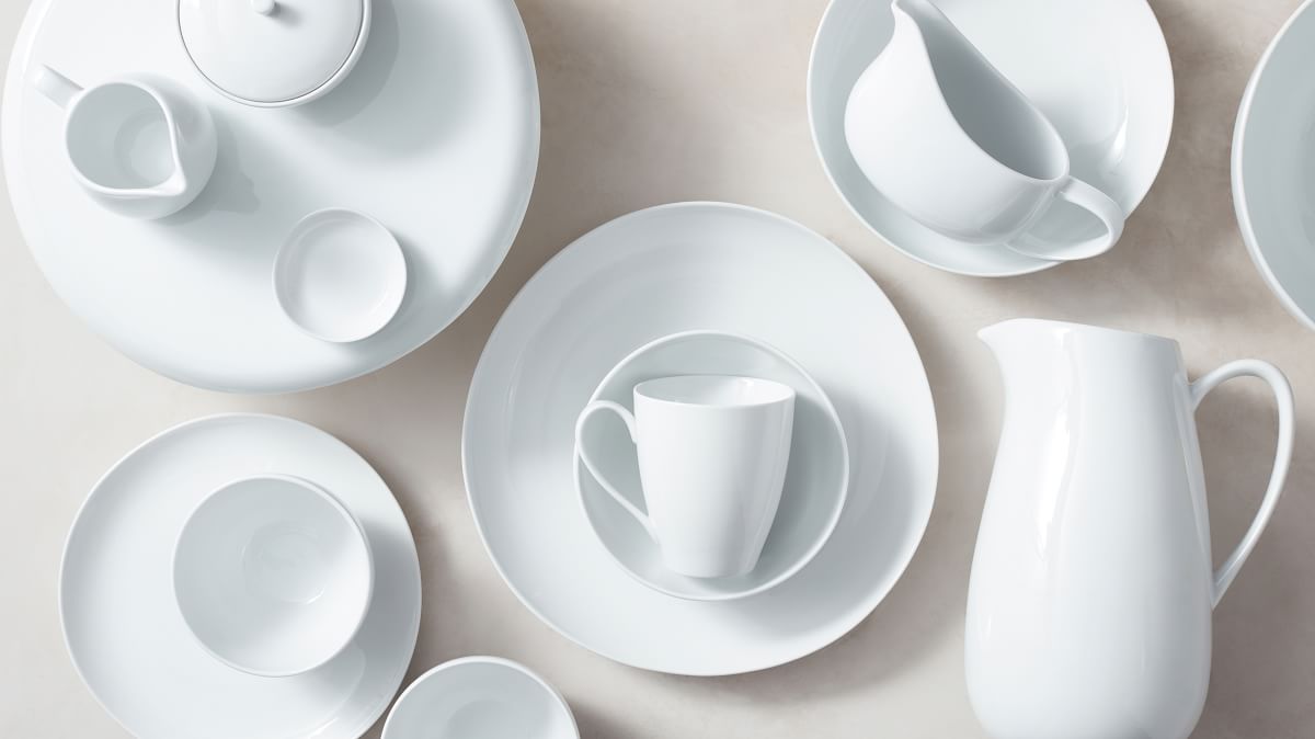 Organic Porcelain Dinner Plate Sets | West Elm