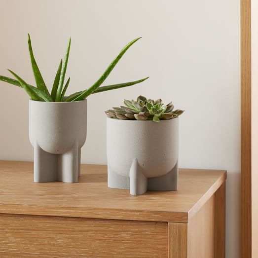 Organic Ceramic Tabletop Planters | West Elm