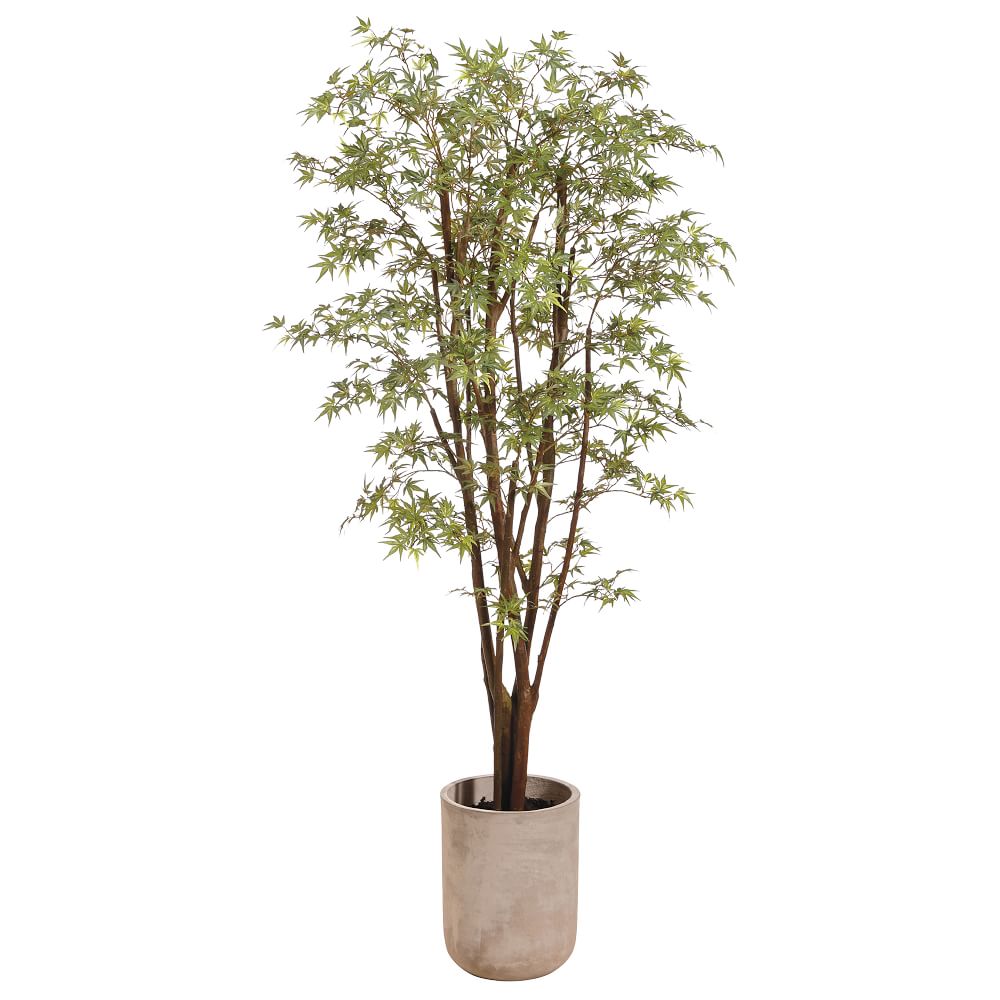 Faux Potted Mini Japan Maple Tree w/ Planter | West Elm