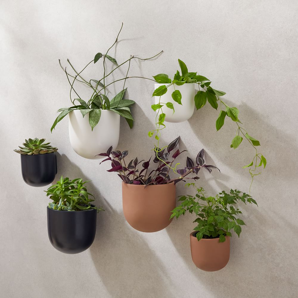 Ceramic Indoor/Outdoor Wallscape Planters | West Elm