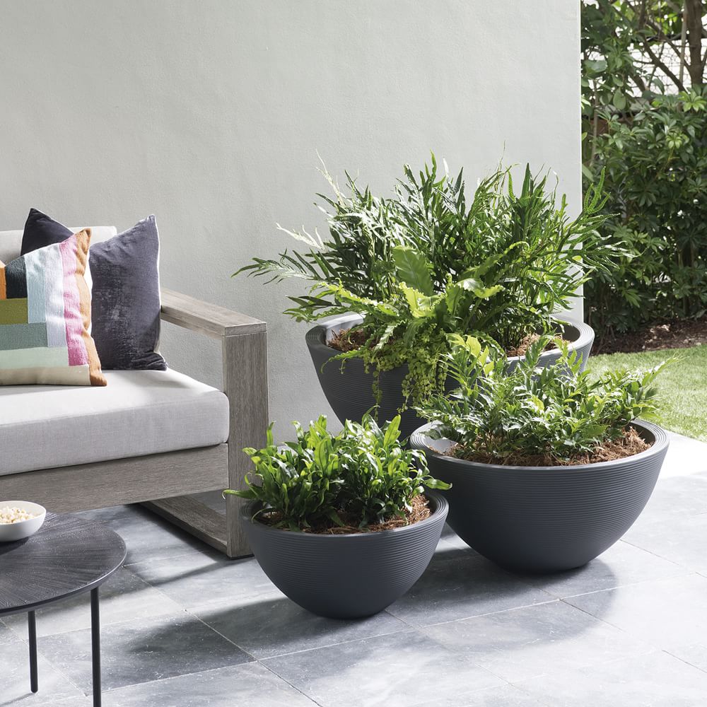 Grooved Plastic Indoor/Outdoor Bowl Planters | West Elm