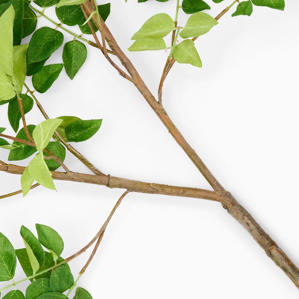 Faux Common Manzanita Bean Leaf Branch | West Elm