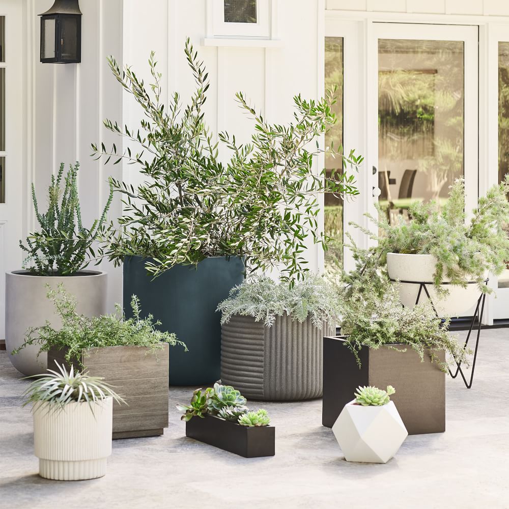 Fluted Ceramic Indoor/Outdoor Planters | West Elm