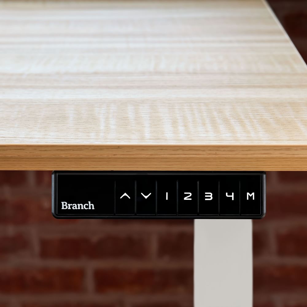 Branch Standing Desk | West Elm