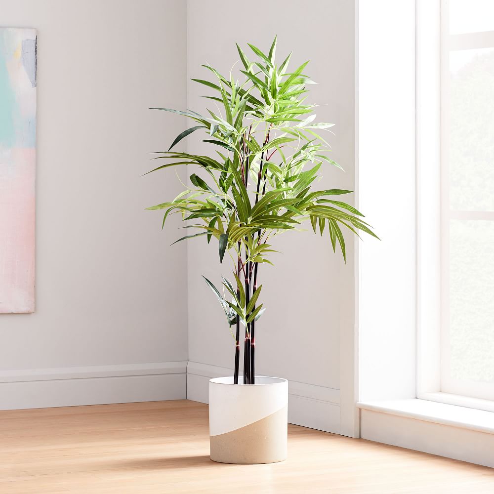 Faux Potted Fern Tree | West Elm