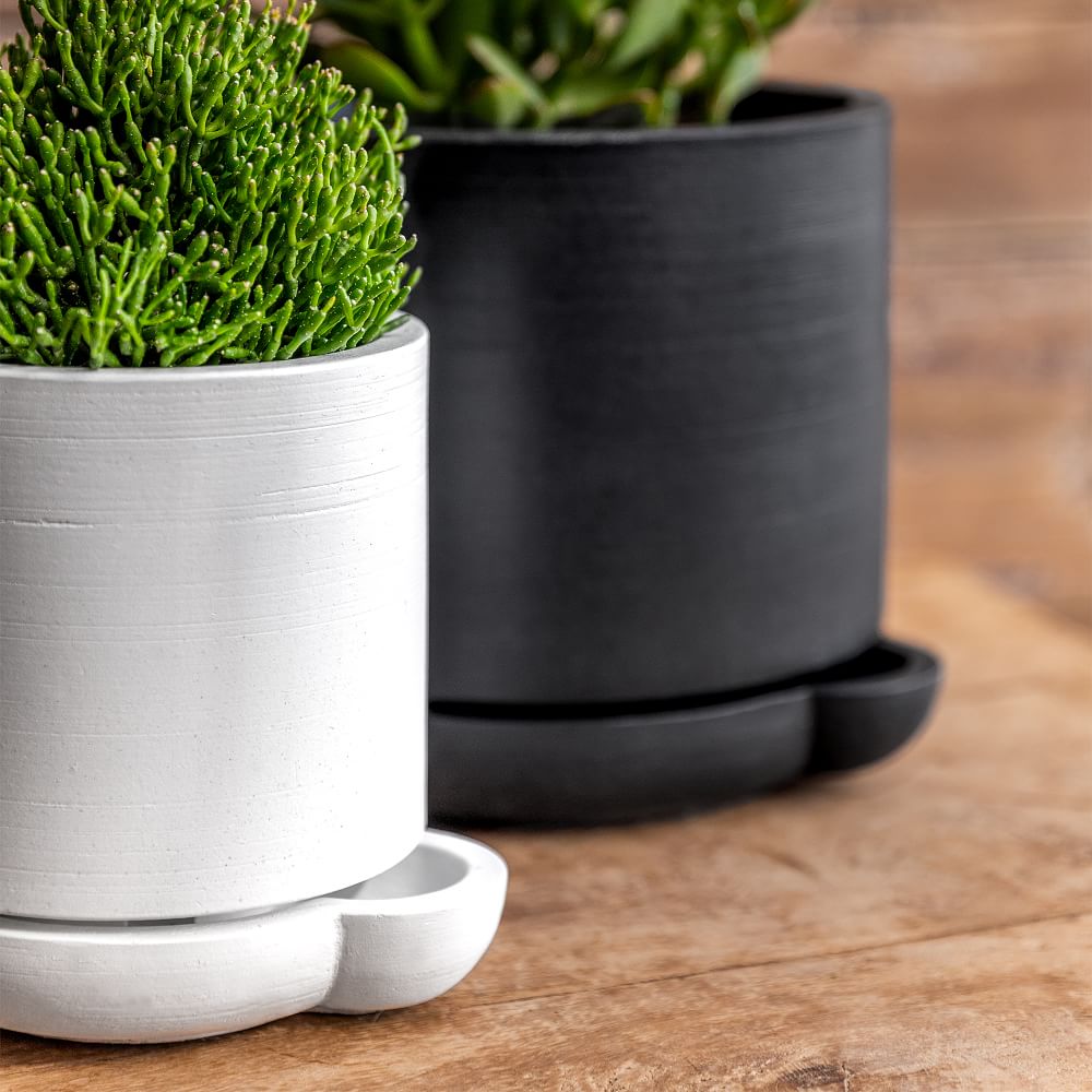 The Simple Self-Watering Pot | West Elm