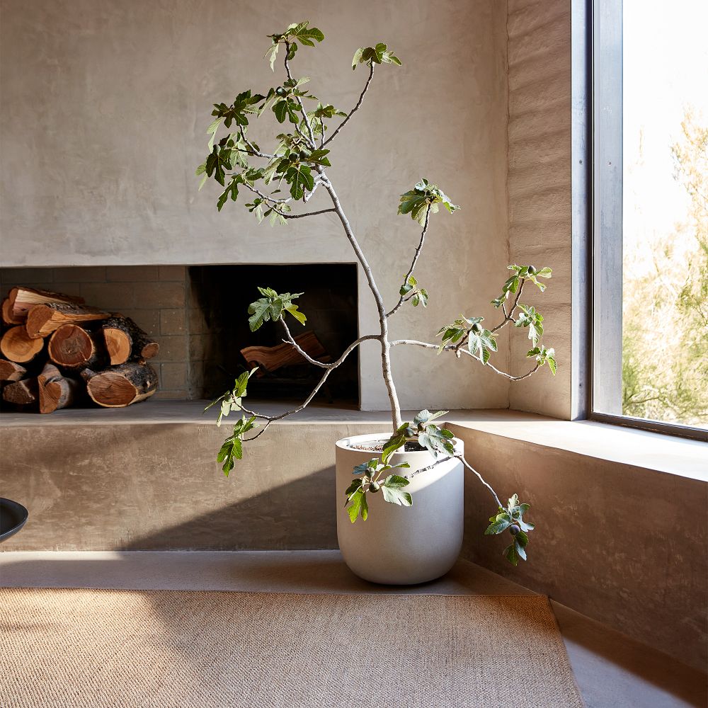Radius Ficonstone Indoor/Outdoor Planters - Alabaster | West Elm