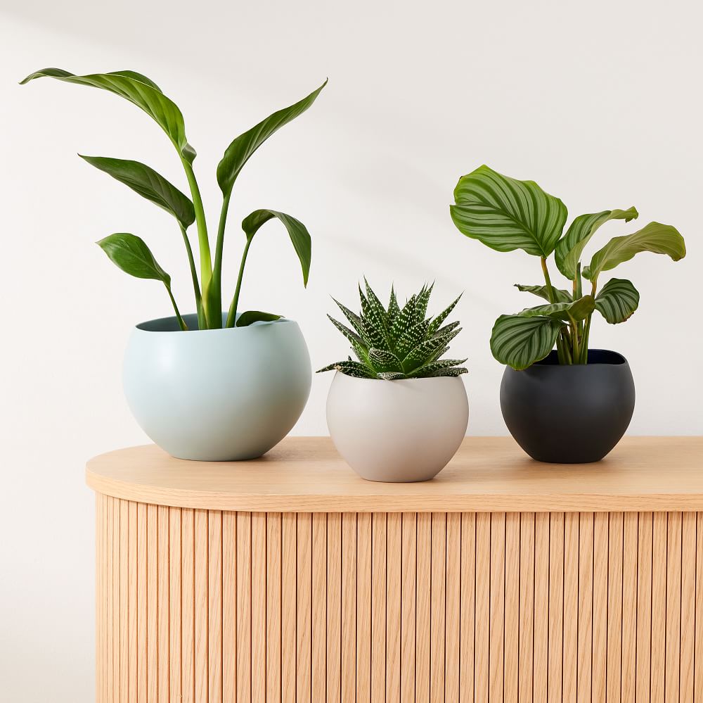 Organic Ceramic Tabletop Planters | West Elm