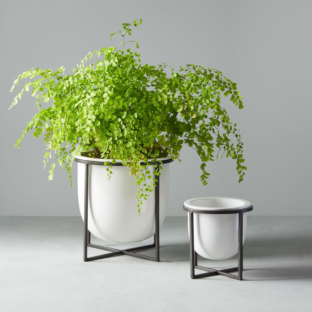 Eden Cross Base Tabletop Planters - Antique Bronze | West Elm