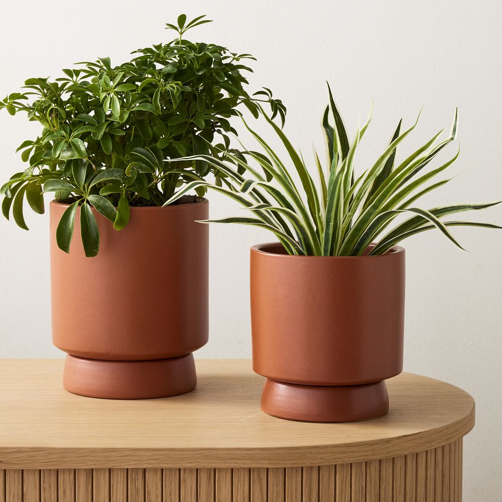 Bishop Ceramic Indoor/Outdoor Tabletop Planters | West Elm