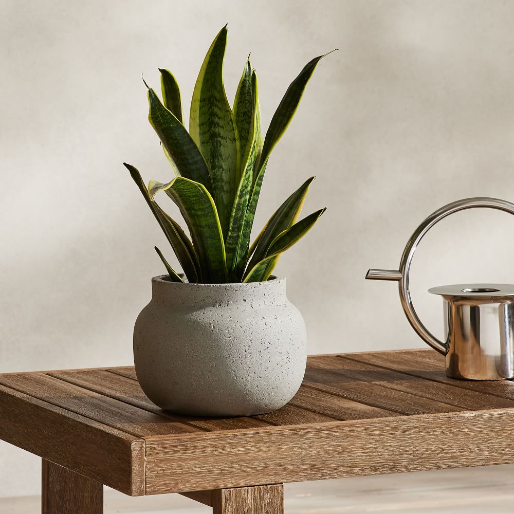 Basic Planter Bundle | West Elm