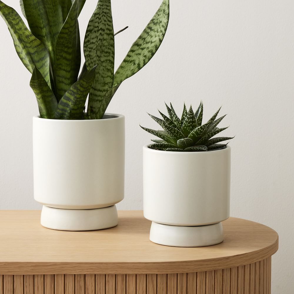 Bishop Ceramic Indoor/Outdoor Tabletop Planters | West Elm