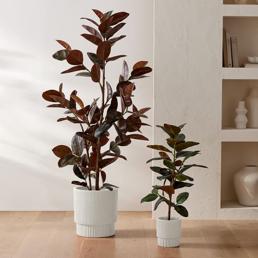 Faux Potted Rubber Tree | West Elm