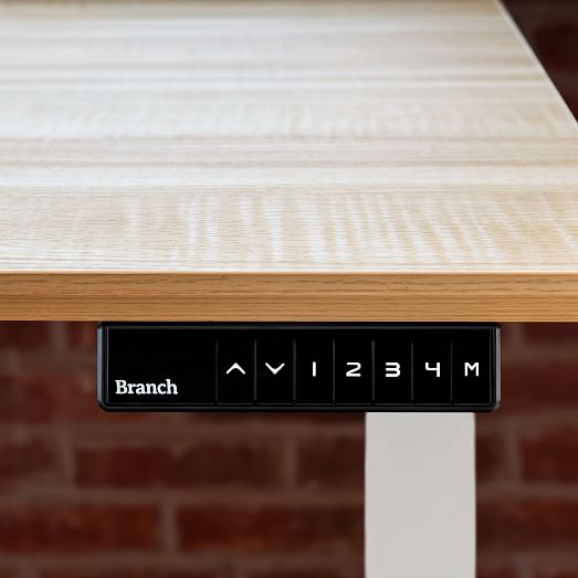 Branch Standing Desk | West Elm