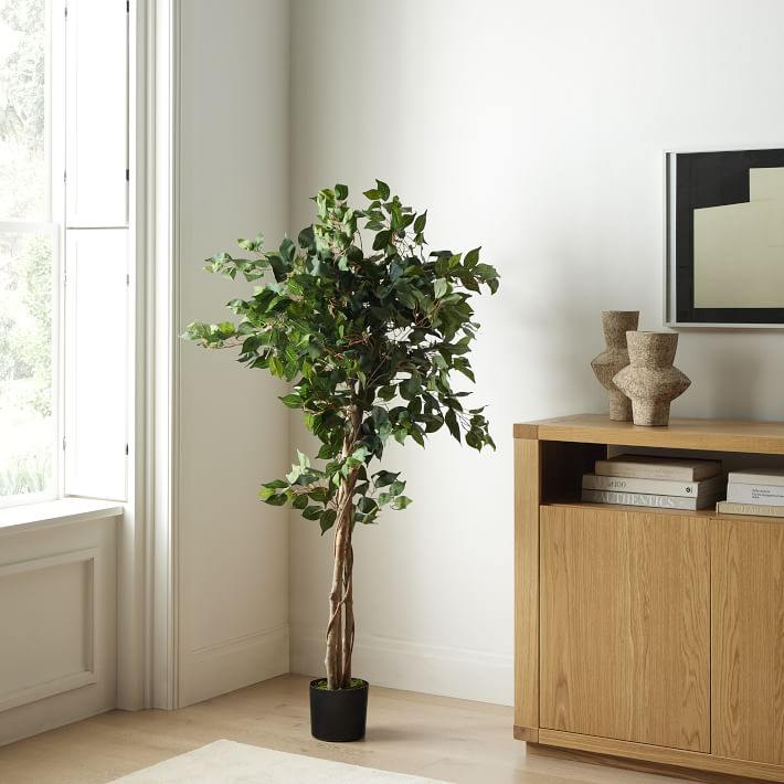 Faux Potted Ficus Tree | West Elm
