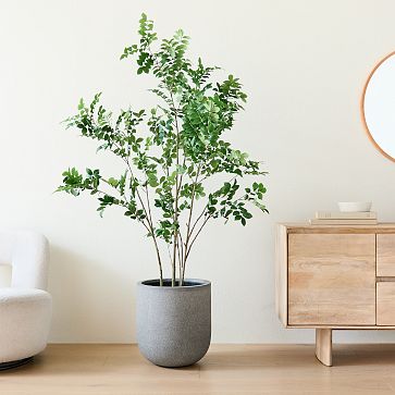 Faux Potted Green Leaf Tree & Radius Planter Bundle | West Elm