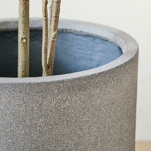 Faux Potted Green Leaf Tree & Radius Planter Bundle | West Elm