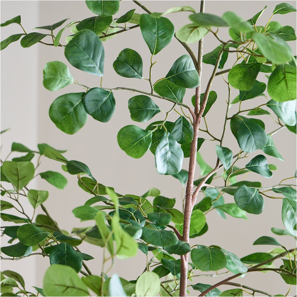 Faux Potted Ficus Tree | West Elm