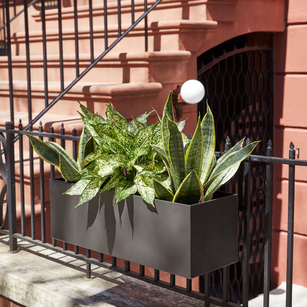 Streamline Metal Railing Planter | West Elm