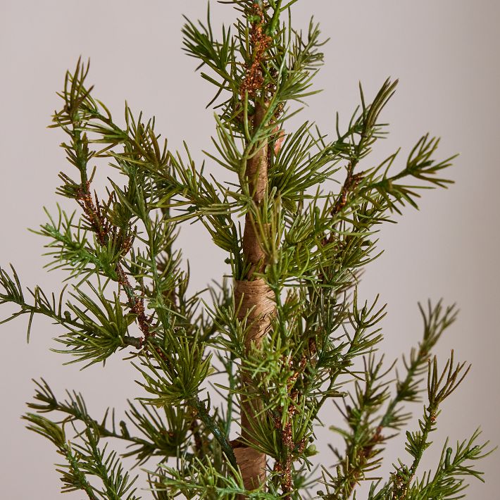 Faux Potted Alpine Tree w/ Pine Cones | West Elm