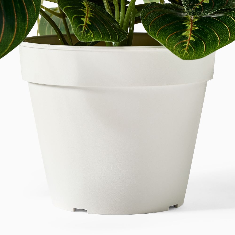 Faux Potted Herringbone Maranta Plant | West Elm