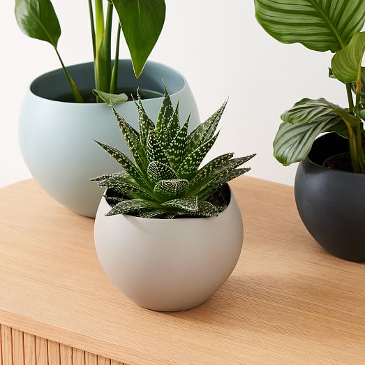 Organic Ceramic Tabletop Planters | West Elm