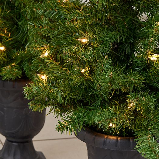 Norway Pine Porch Christmas Trees (Set of 4) | West Elm