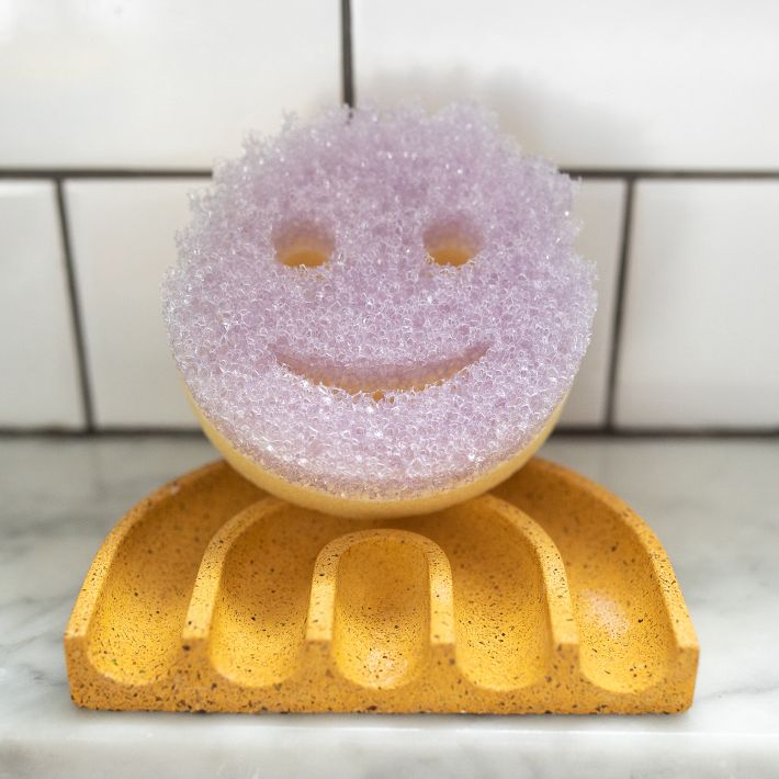 Pretti.Cool Sponge Rest | West Elm