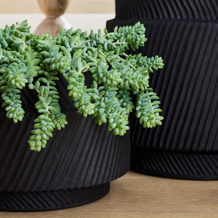 Asher Ceramic Planters | West Elm