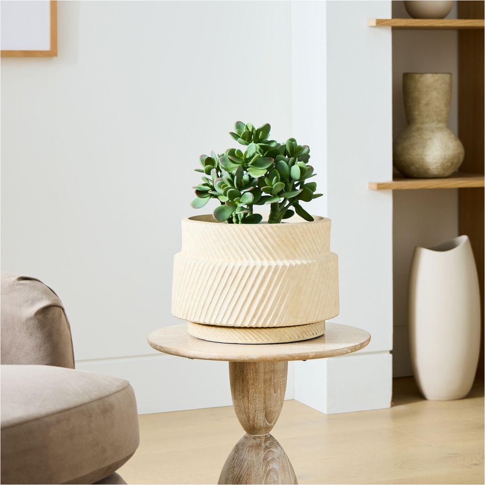 Faux Potted Jade Plant | West Elm