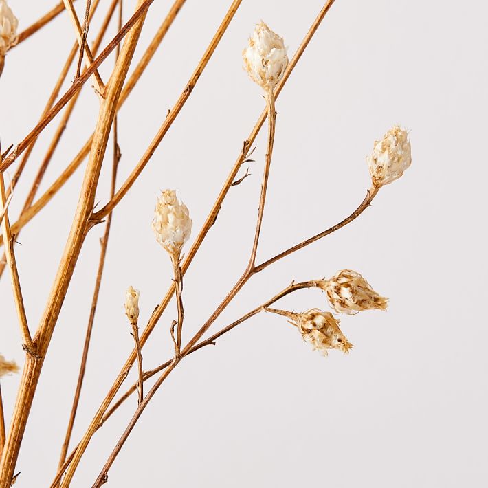 Dried Flax Bunch | West Elm
