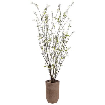Faux Potted Mixed Botanicals Tree w/ Planter | West Elm