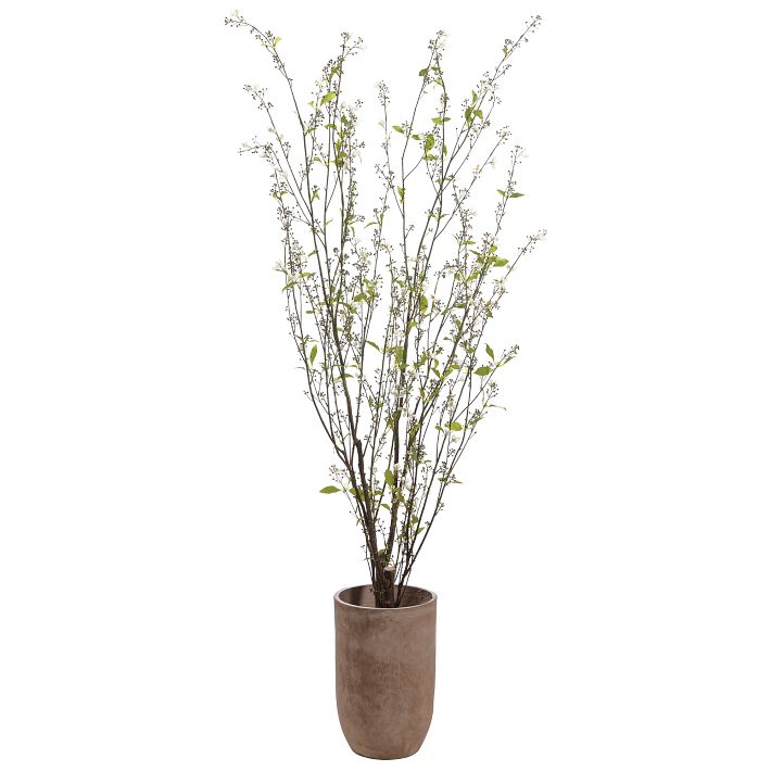 Faux Potted Mixed Botanicals Tree w/ Planter | West Elm