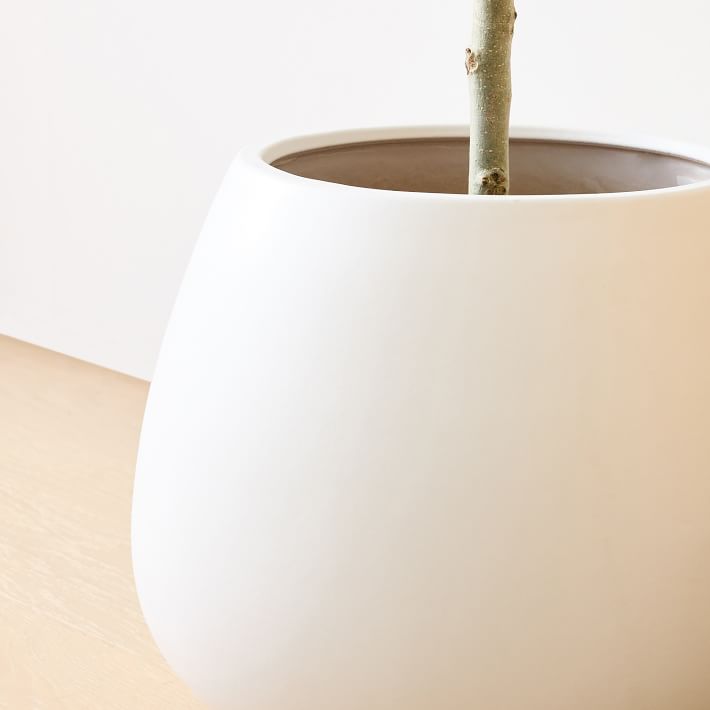 Pure Ceramic Planters | West Elm