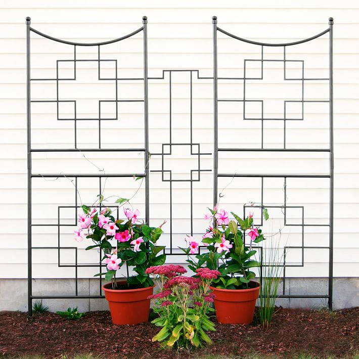 Square Iron Trellis | West Elm