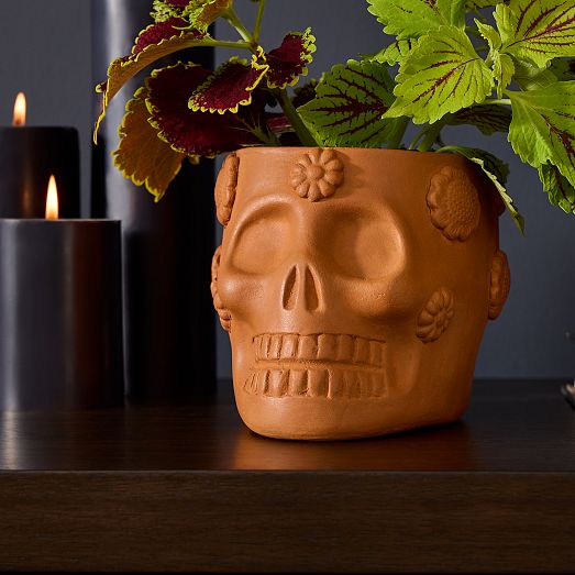 Terracotta Skull Tabletop Planters | West Elm