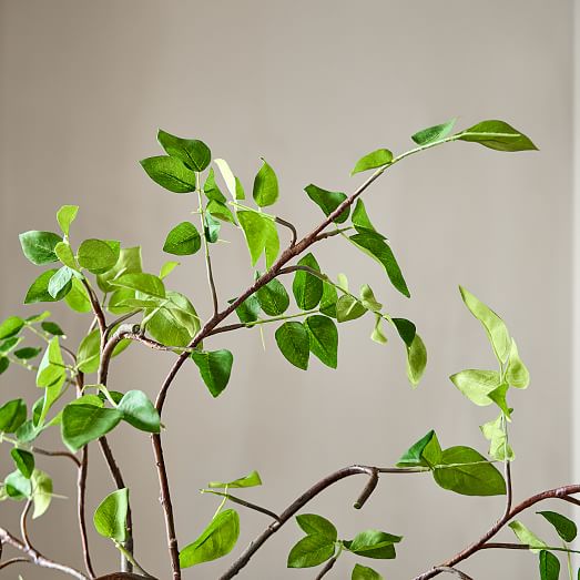 Faux Potted Bursera Plant | West Elm