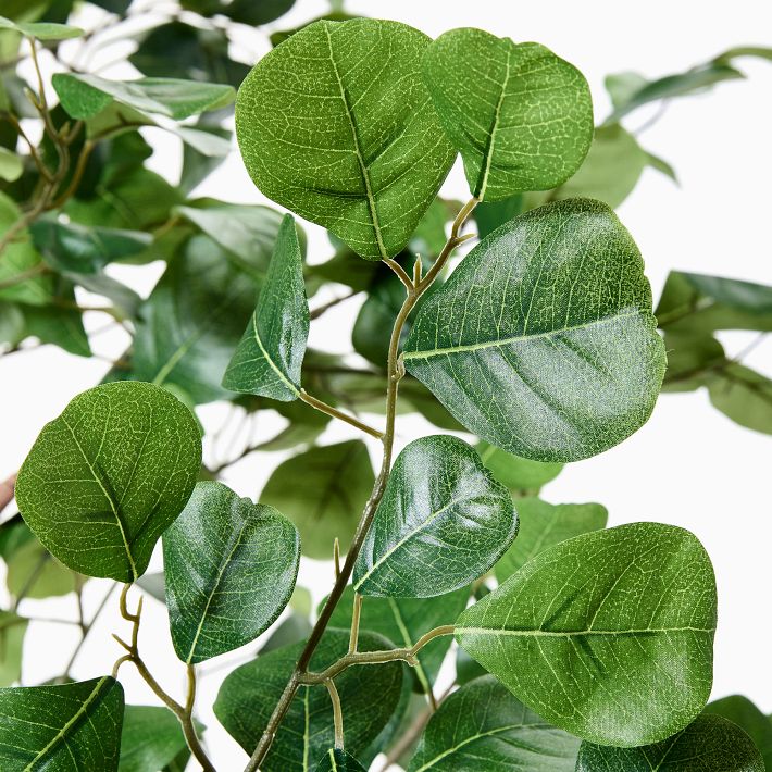 Faux Potted Ficus Tree | West Elm