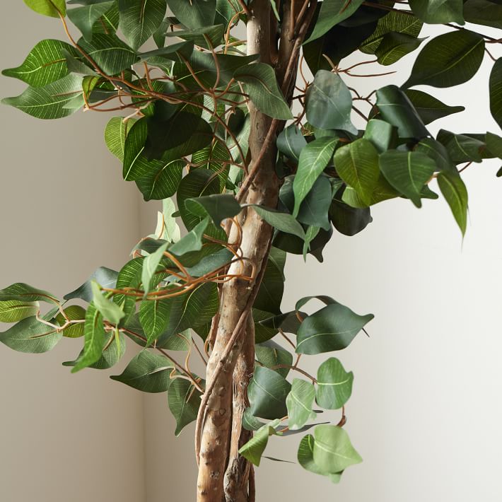 Faux Potted Ficus Tree | West Elm