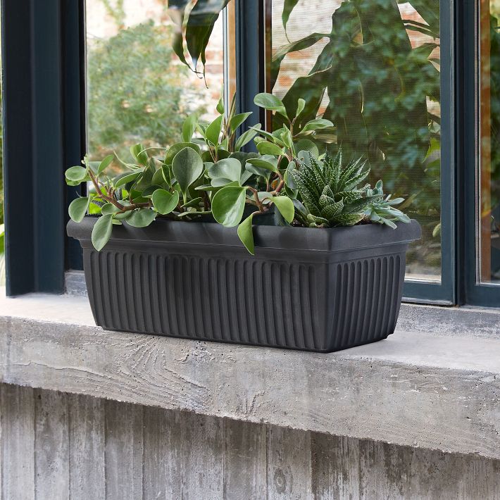 Lightweight Appio Window Box Planters | West Elm