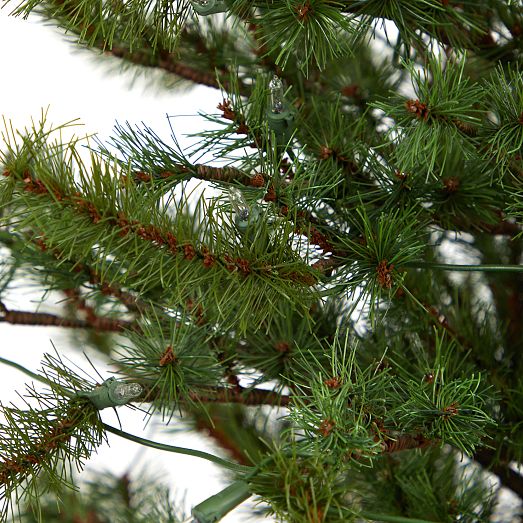 Pre-Lit Faux Potted Vancouver Mountain Pine Tree | West Elm
