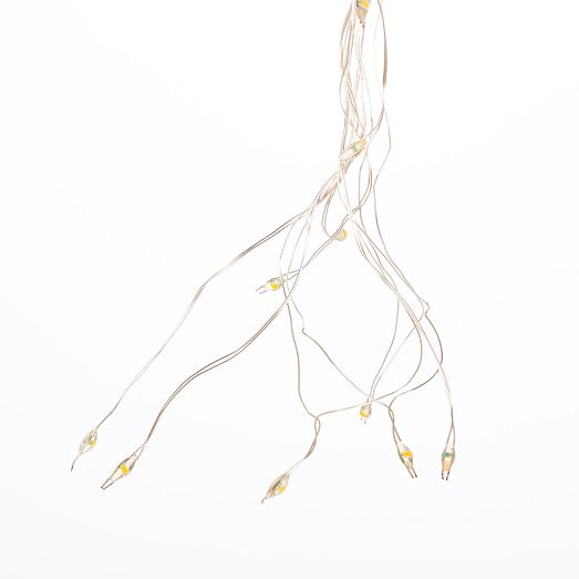 6' String Spray LED Lights | West Elm